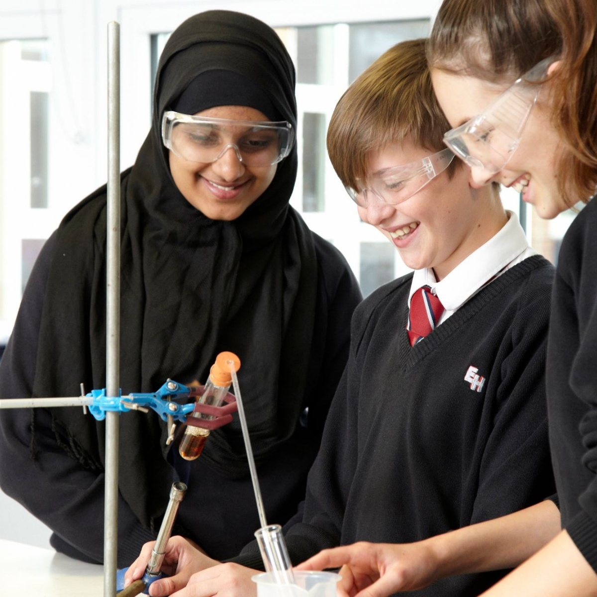 Esher Church of England High School - Item Not Available